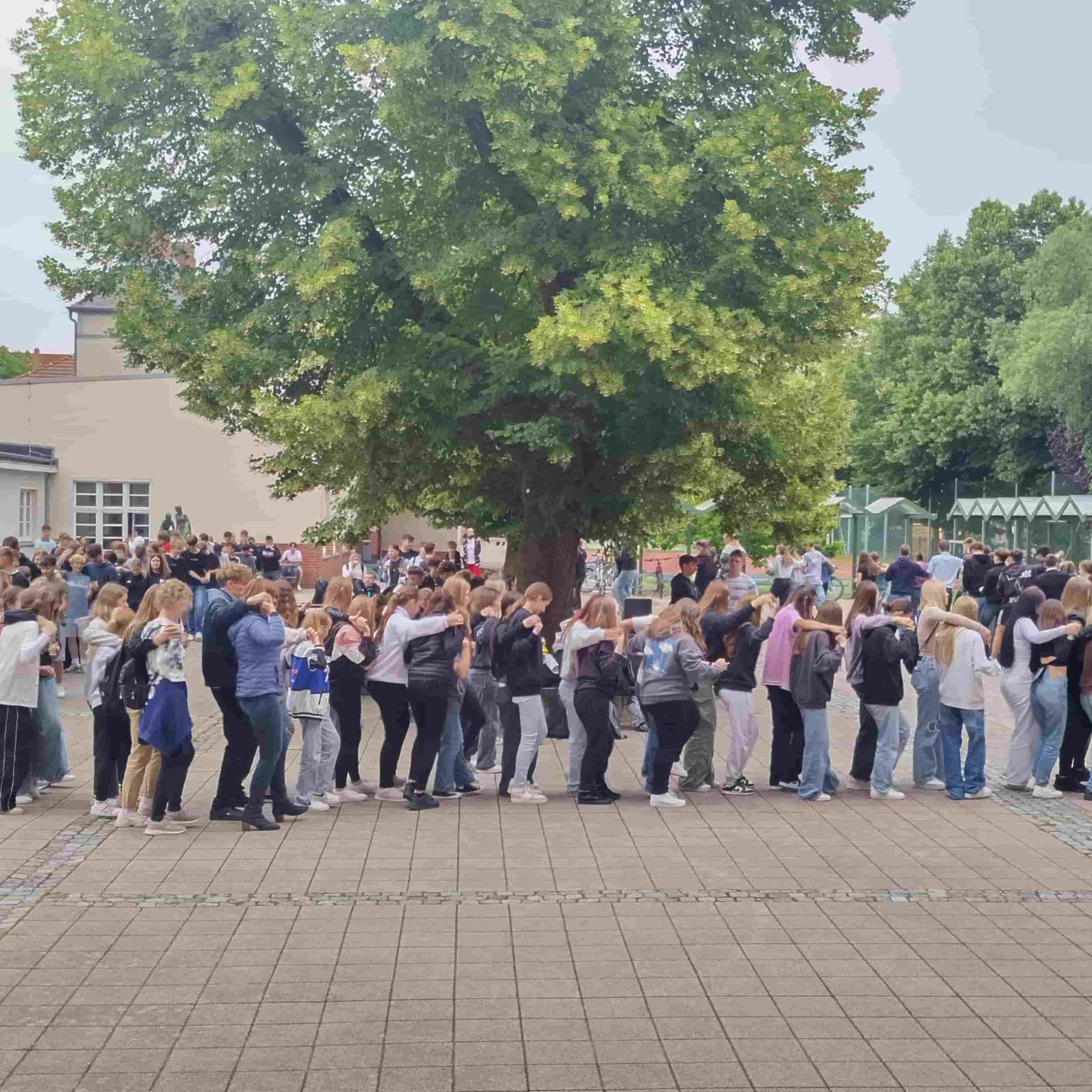 Infos & News Gymnasium Guben – Gymnasium Guben